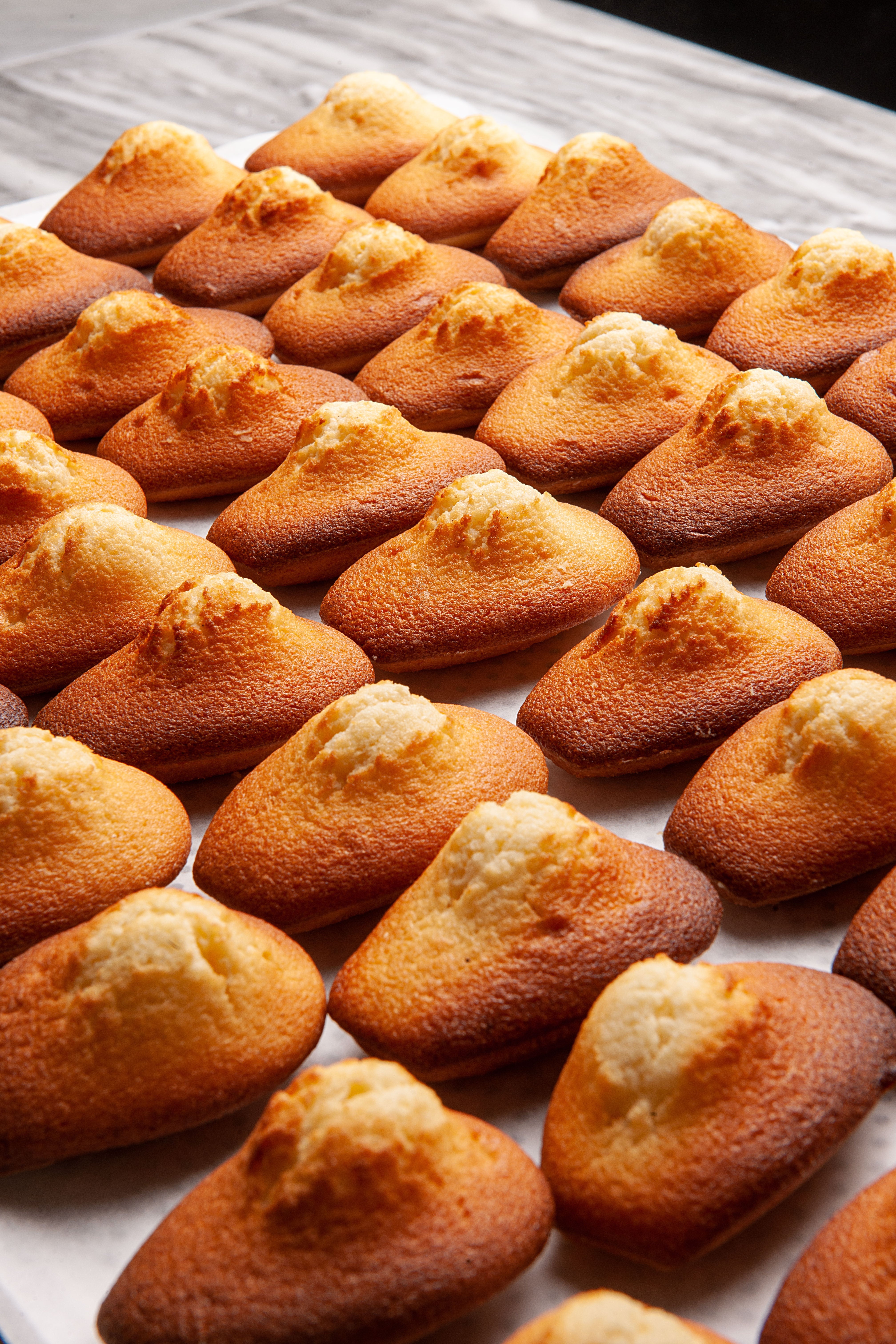 Cakes & Cookies – Clément Lebanon